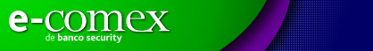 Mas Información sobre E-Comex